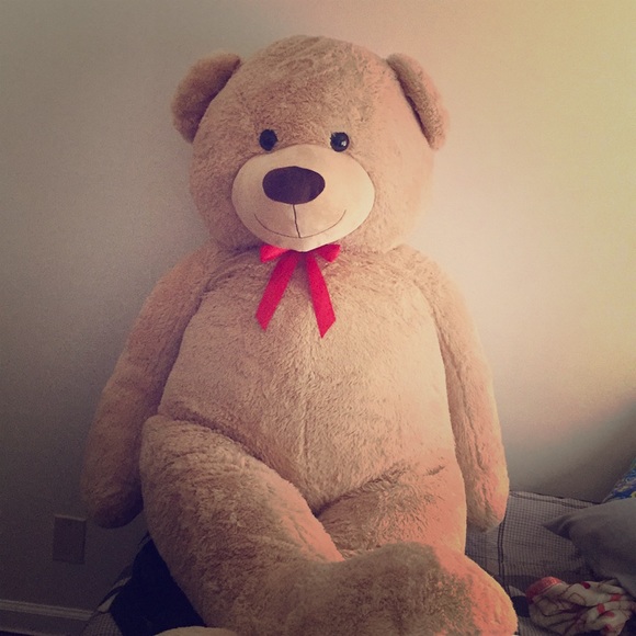 Accessories | Big Comfy Bear That Will Be Worth Your Whole | Poshmark